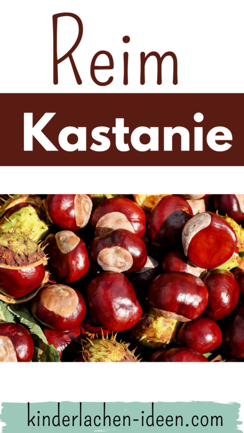 Morgenkreis: Spiel-Reim Kastanie - kinderlachen-ideen