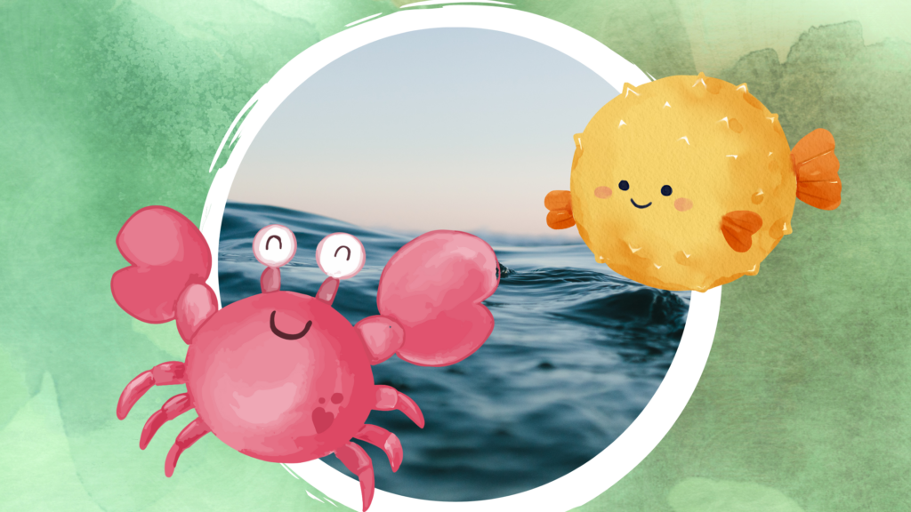 Kindergarten: Kreisspiel Meerestiere - kinderlachen-ideen