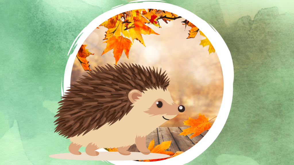 Kindergarten: Bewegungsspiel "Igel" - kinderlachen-ideen